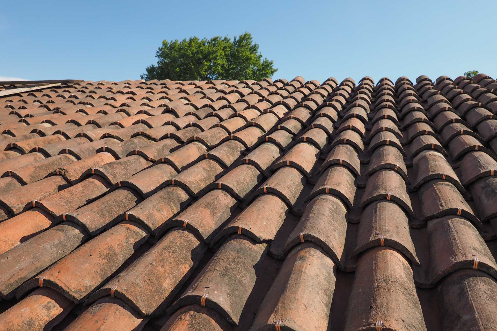 Common Soffit and Fascia Problems and How to Fix Them - CAPOR Renovations